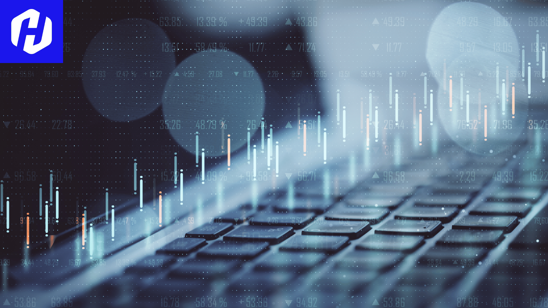 Contoh Transaksi Forex di Dunia serta Fungsinya! | HSB Investasi